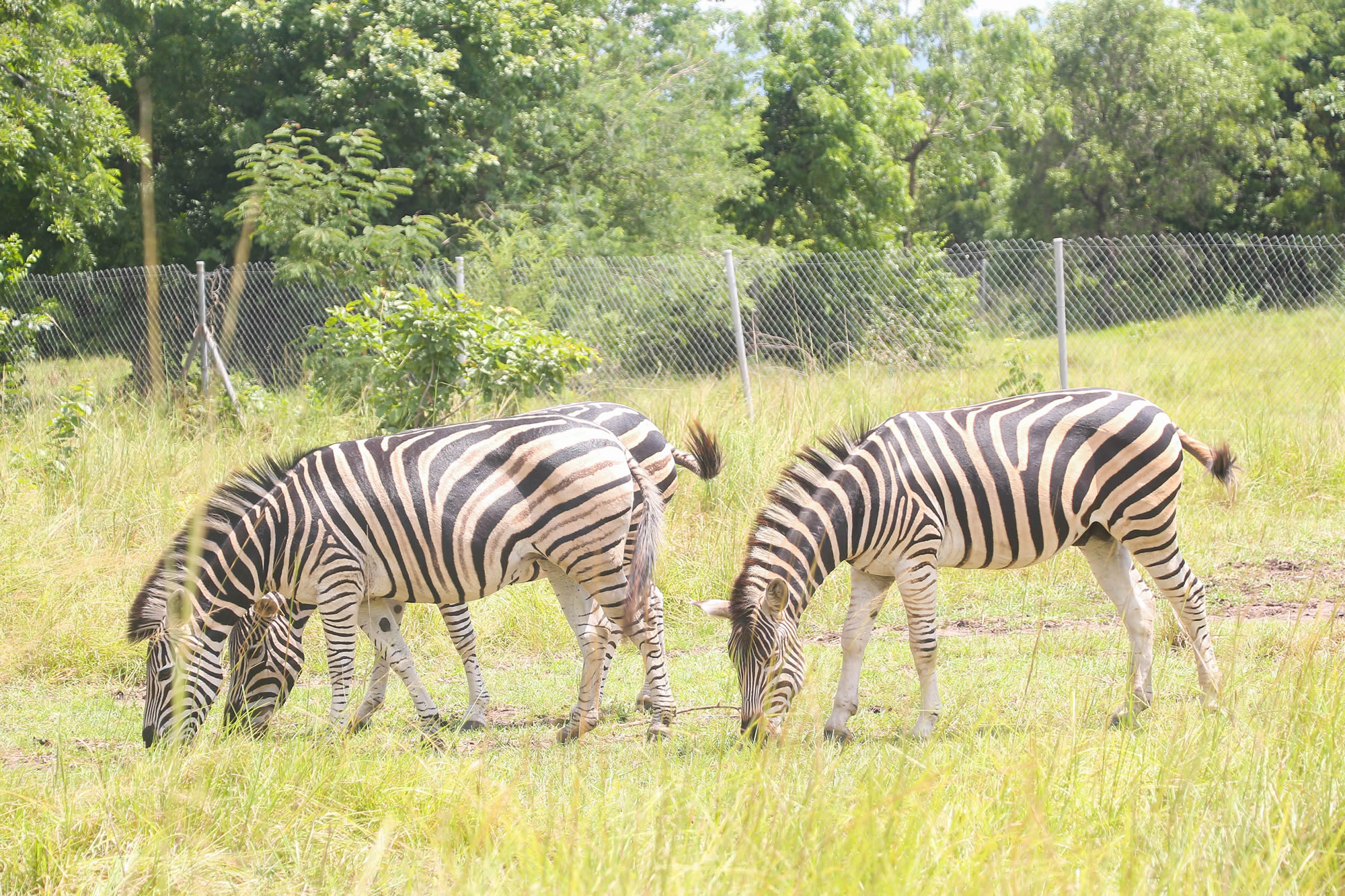 Shai hills resource reserve – GO2GHANA